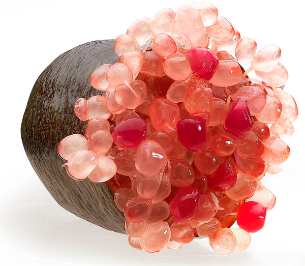 Fresh Pink Finger Limes - 1kg – Wild Hibiscus Flower Company Pty Ltd ...